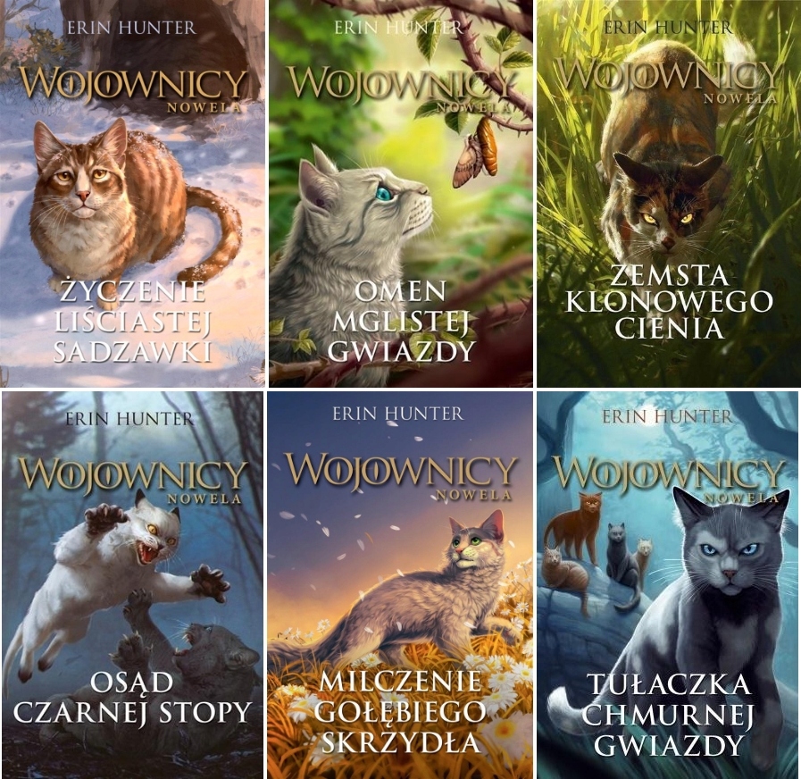 Wojownicy - Tanie książki - Księgarnia internetowa | Książki Allegro