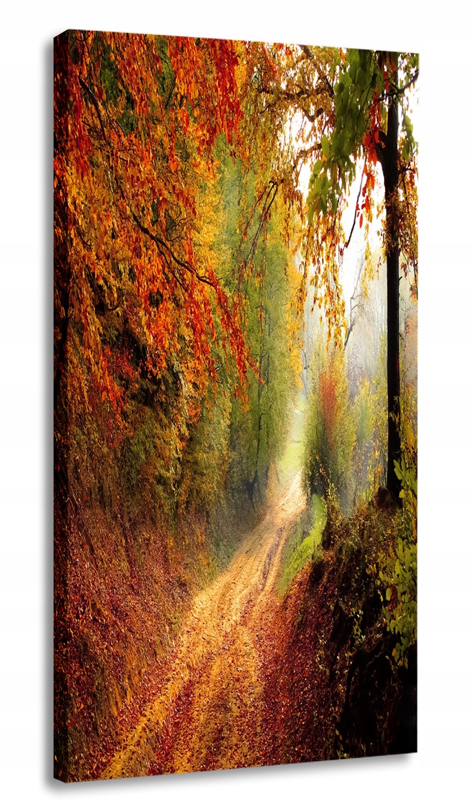 OBRAZ LAS JESIEŃ 40x80 (p9-40x80) • Cena, Opinie • Obrazki i obrazy ...