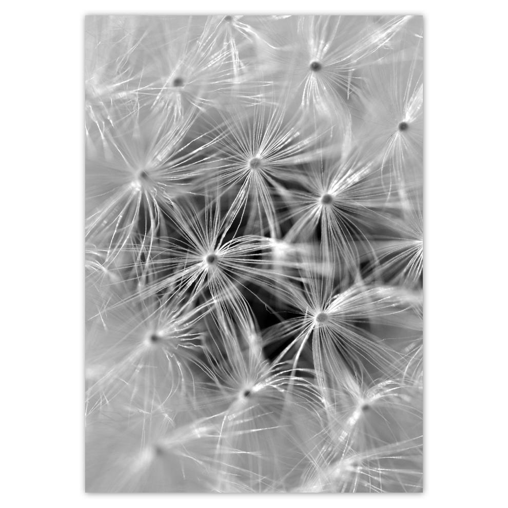 A3-as méretű, ÁLLÓ matricák - Pitypang, Virág, Virágok, • Ár, Vélemények - Allegro