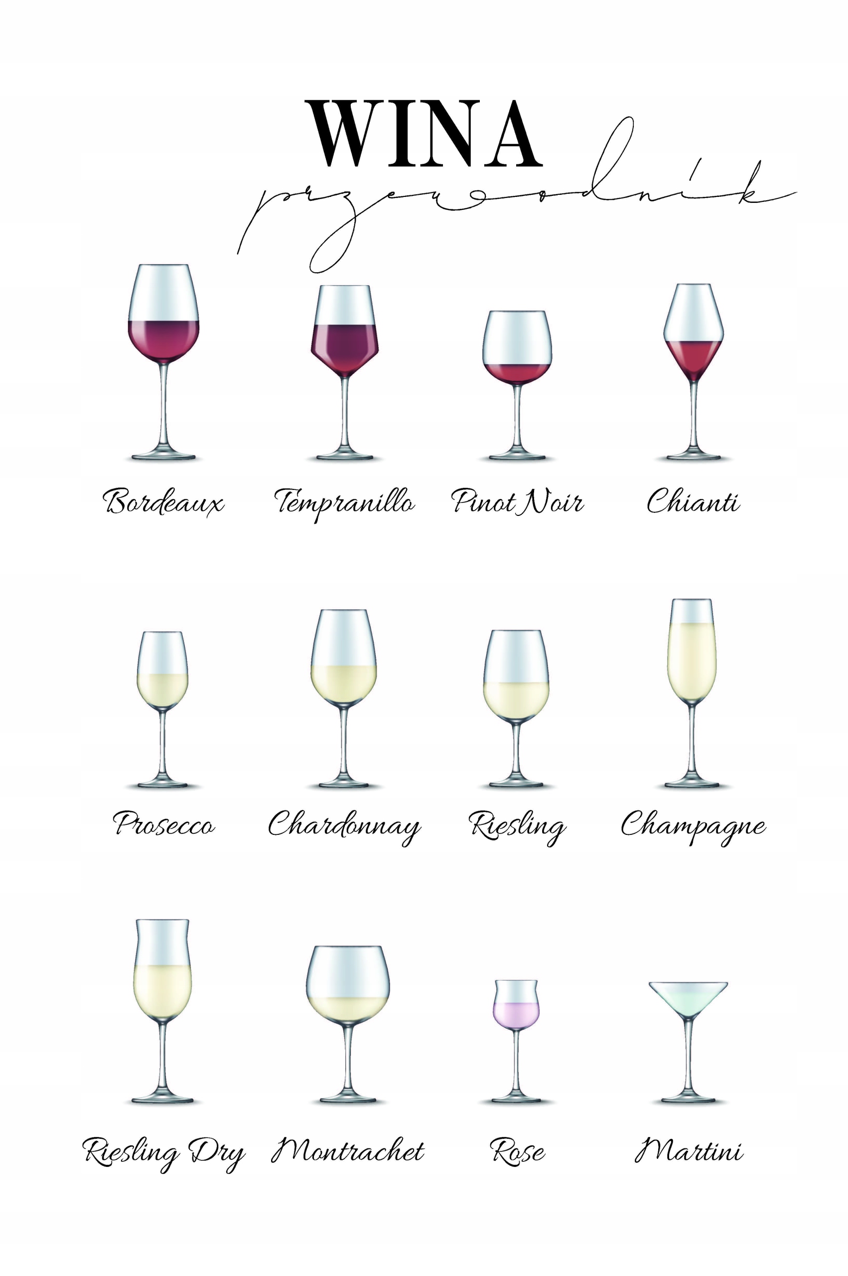 Plakat Rodzaje wina i kieliszków bez ramy 40 x 60 cm • Cena, Opinie ...