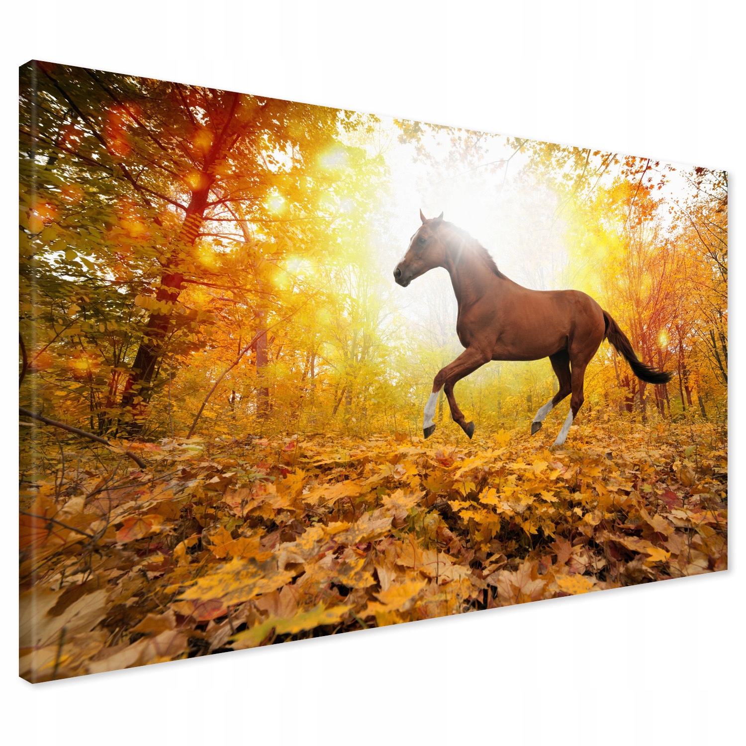 Obraz na płótnie koń słońce las Nowoczesny na ścianę 120x80 • Cena ...