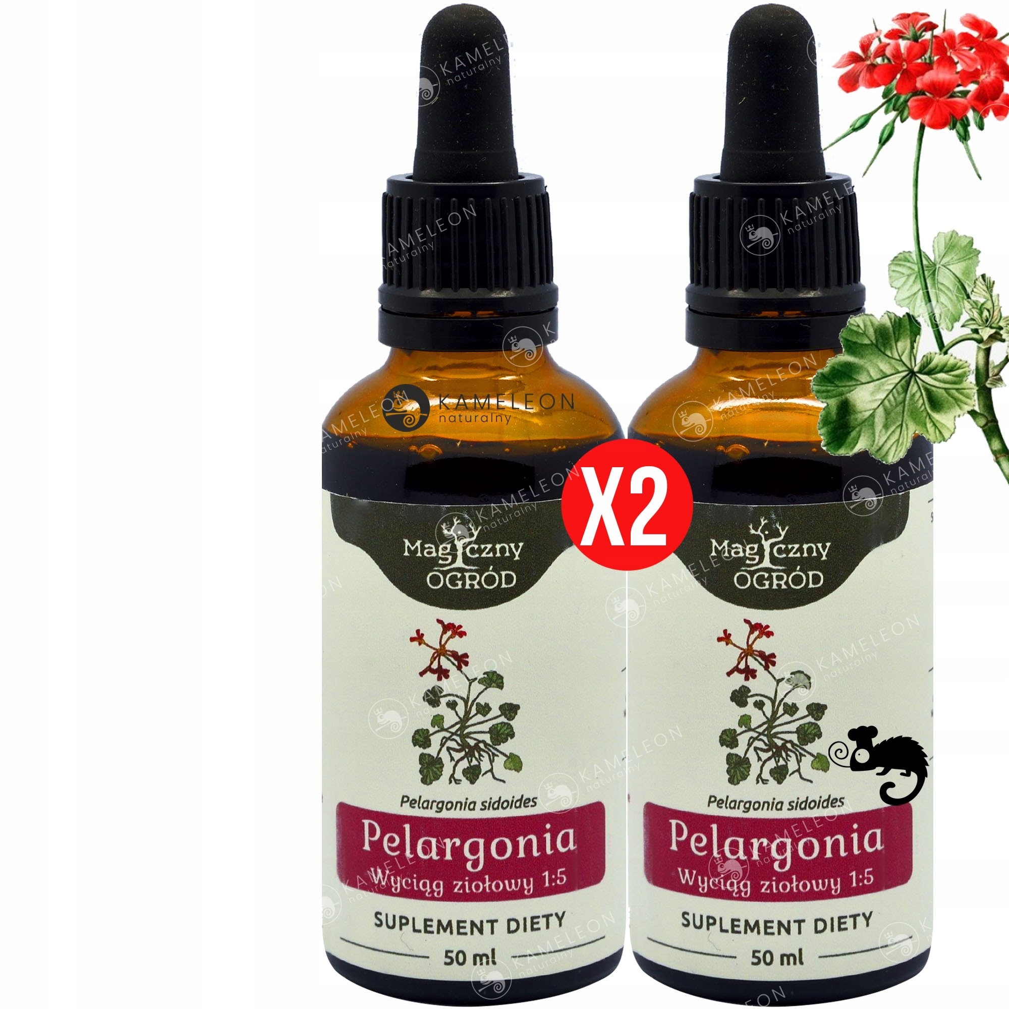 Ekstrakt z Pelargonii - Niska cena na Allegro.pl