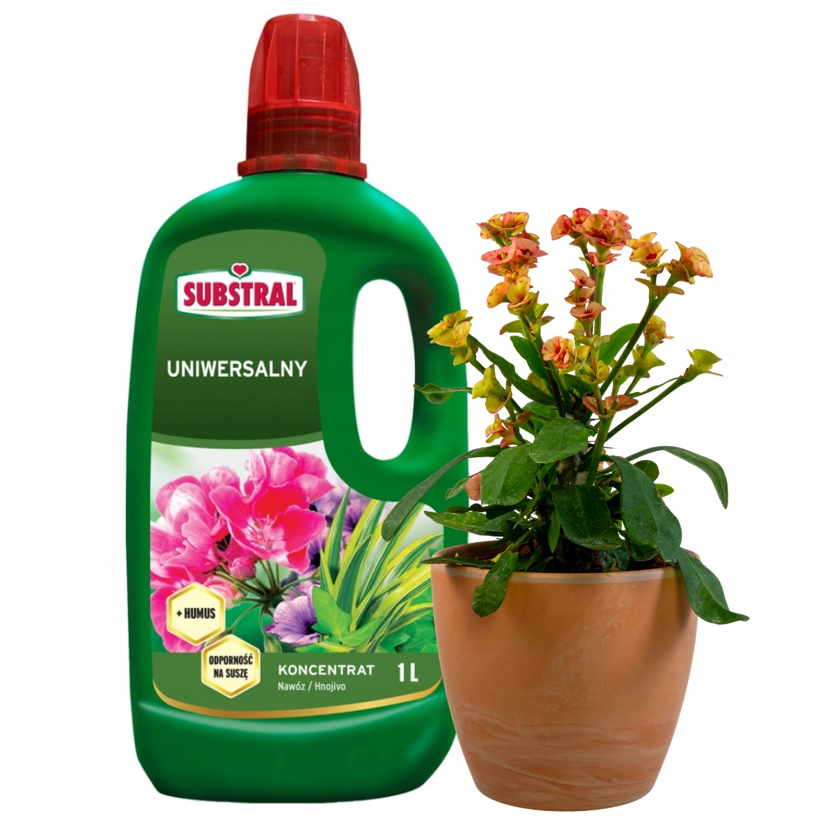 Substral Nawóz do kwiatów domowych i balkonowych uniwersalny + Humus 1 l (5907487103376) • Cena ...
