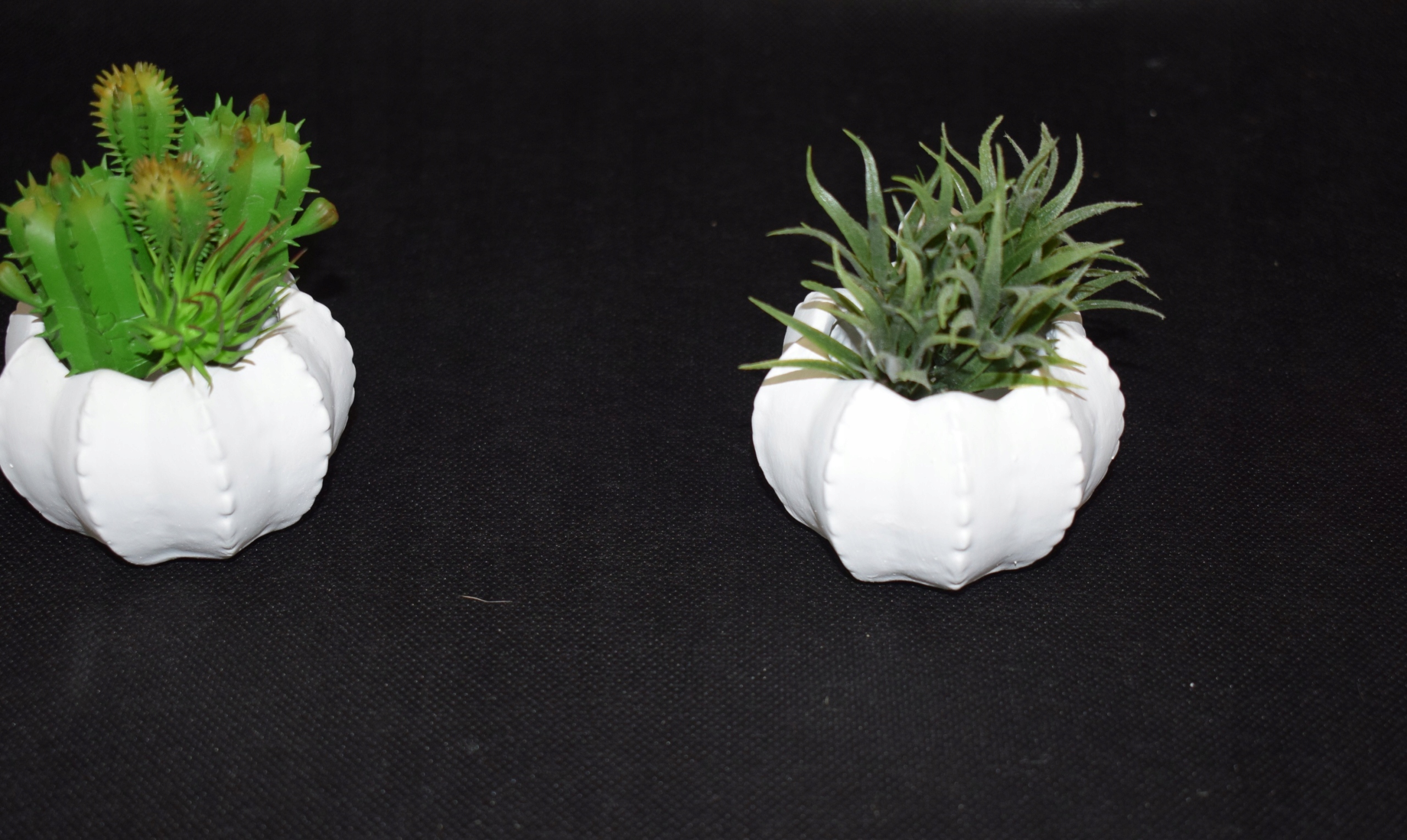 Doniczka Gips modelowy zabezpieczony farbą wodoodporną biały, czarny ...