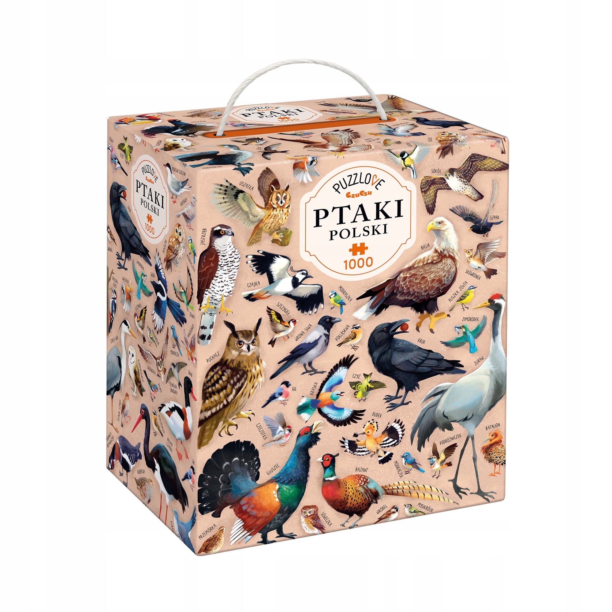 Ptaki Papier - Niska cena na Allegro