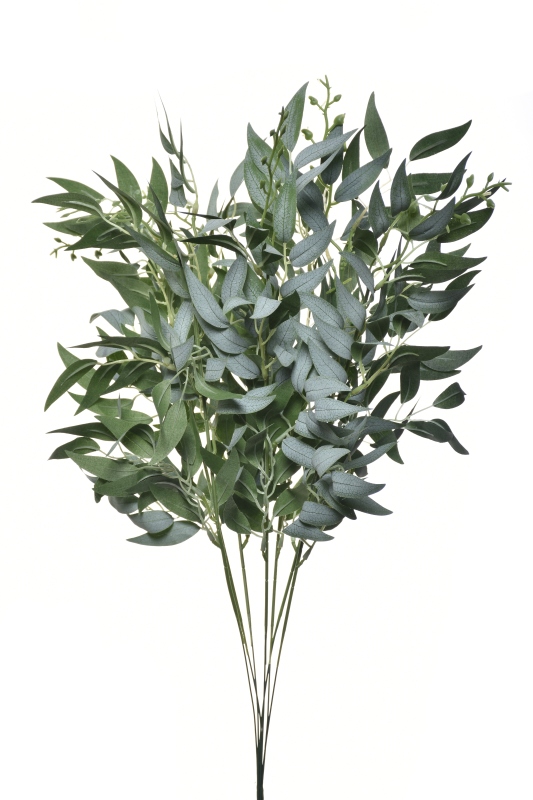 RUSKUS LIŚCIE ZIELONE GAŁĄZKA DEKORACYJNA PIK 60cm 12799759311 - Allegro.pl