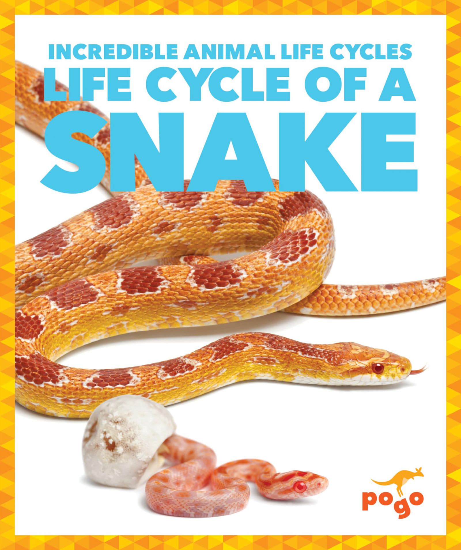 LIFE CYCLE OF A SNAKE (INCREDIBLE ANIMAL LIFE CYCLES) - Karen Latchana ...