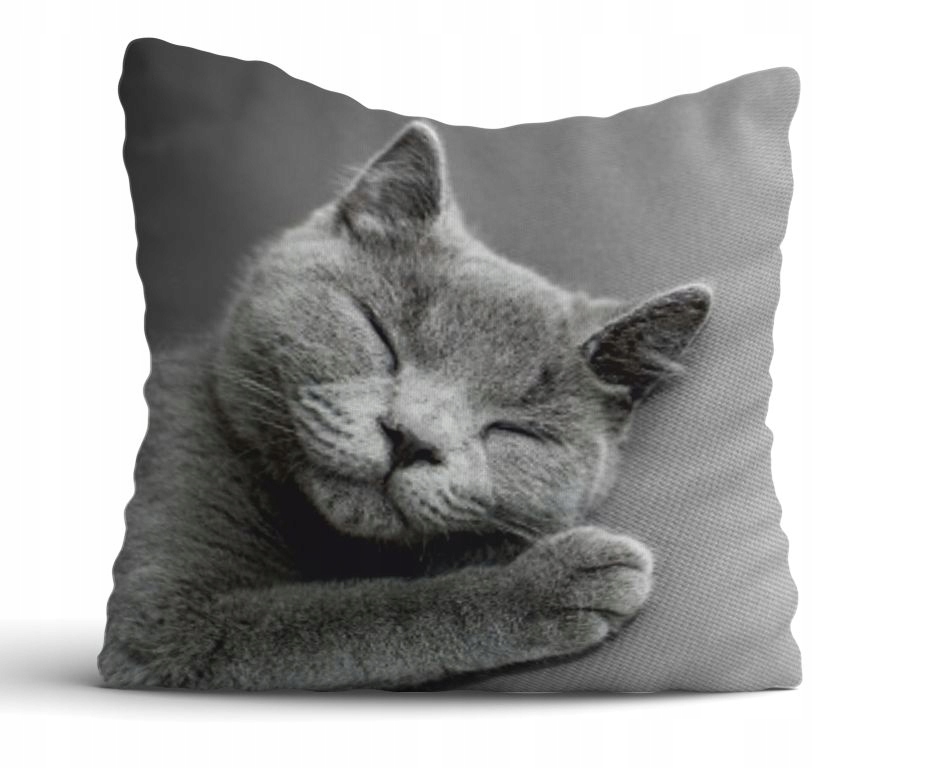 Poduszka z pupilem PIES KOT KOŃ wzory PREZENT • Cena, Opinie • Poduszki ...