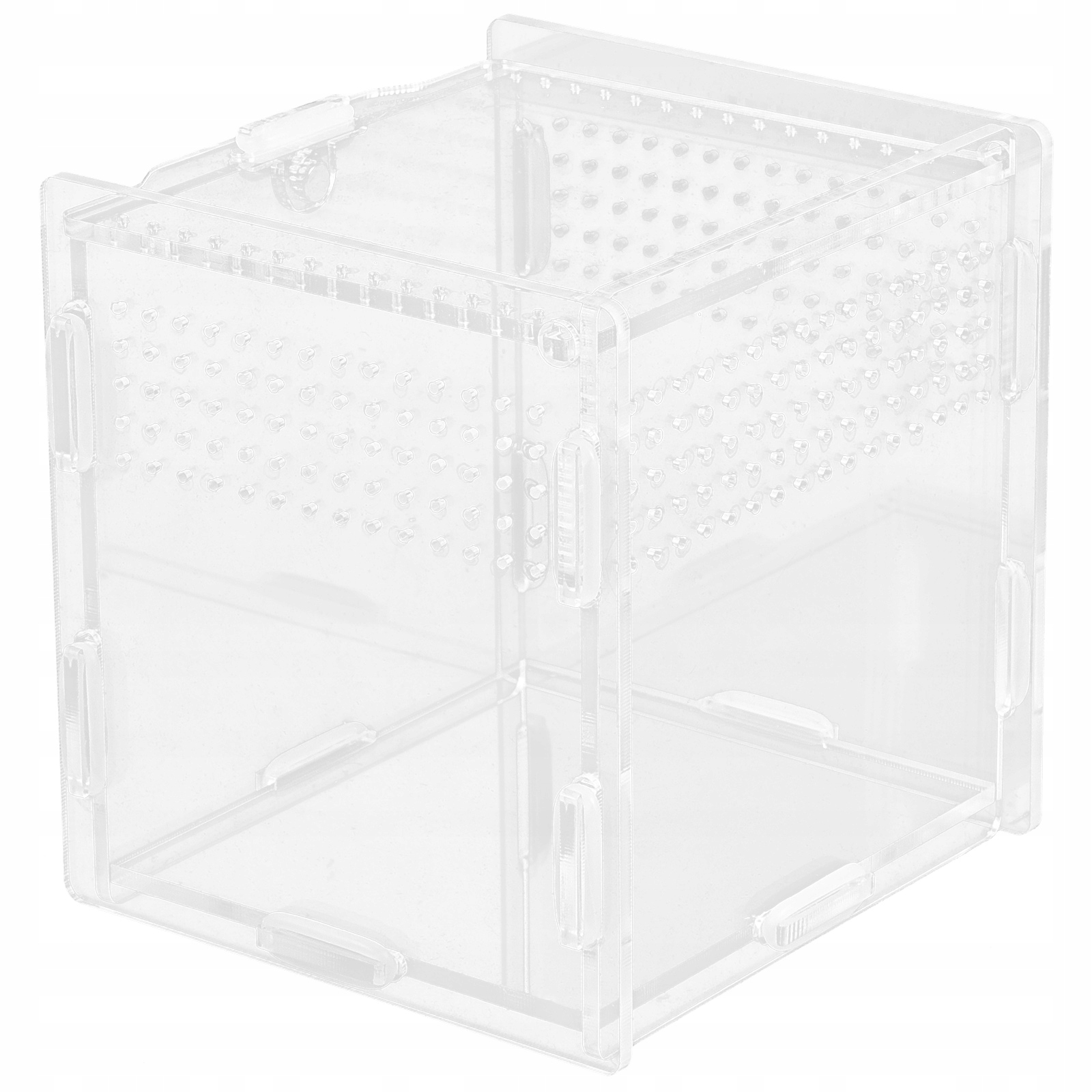 Snail Box - Niska cena na Allegro.pl