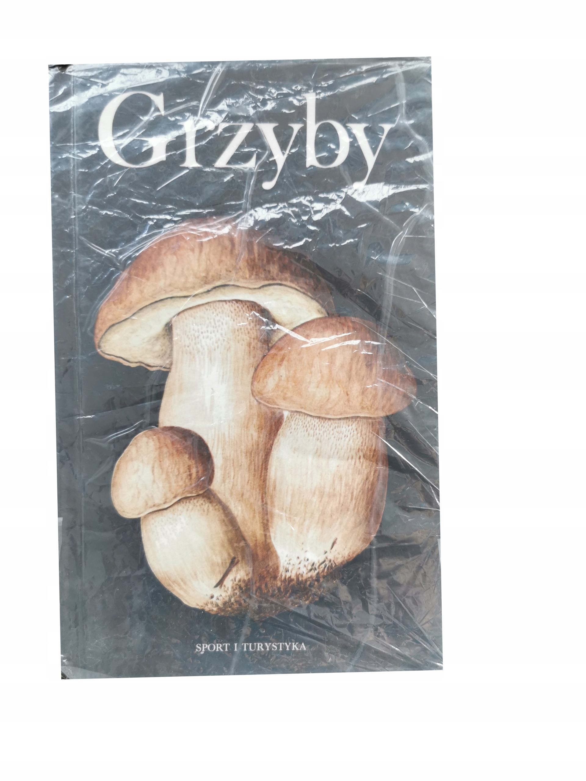 Dermek Aurel - Grzyby - Niska cena na Allegro