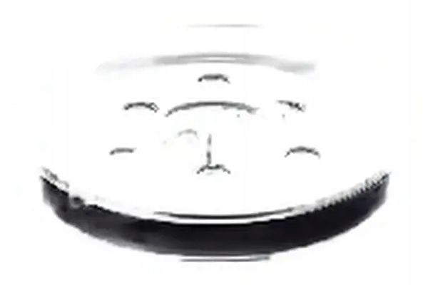 Topran 109 645 Koło pasowe, pompa wspomagania układu kierowniczego ...