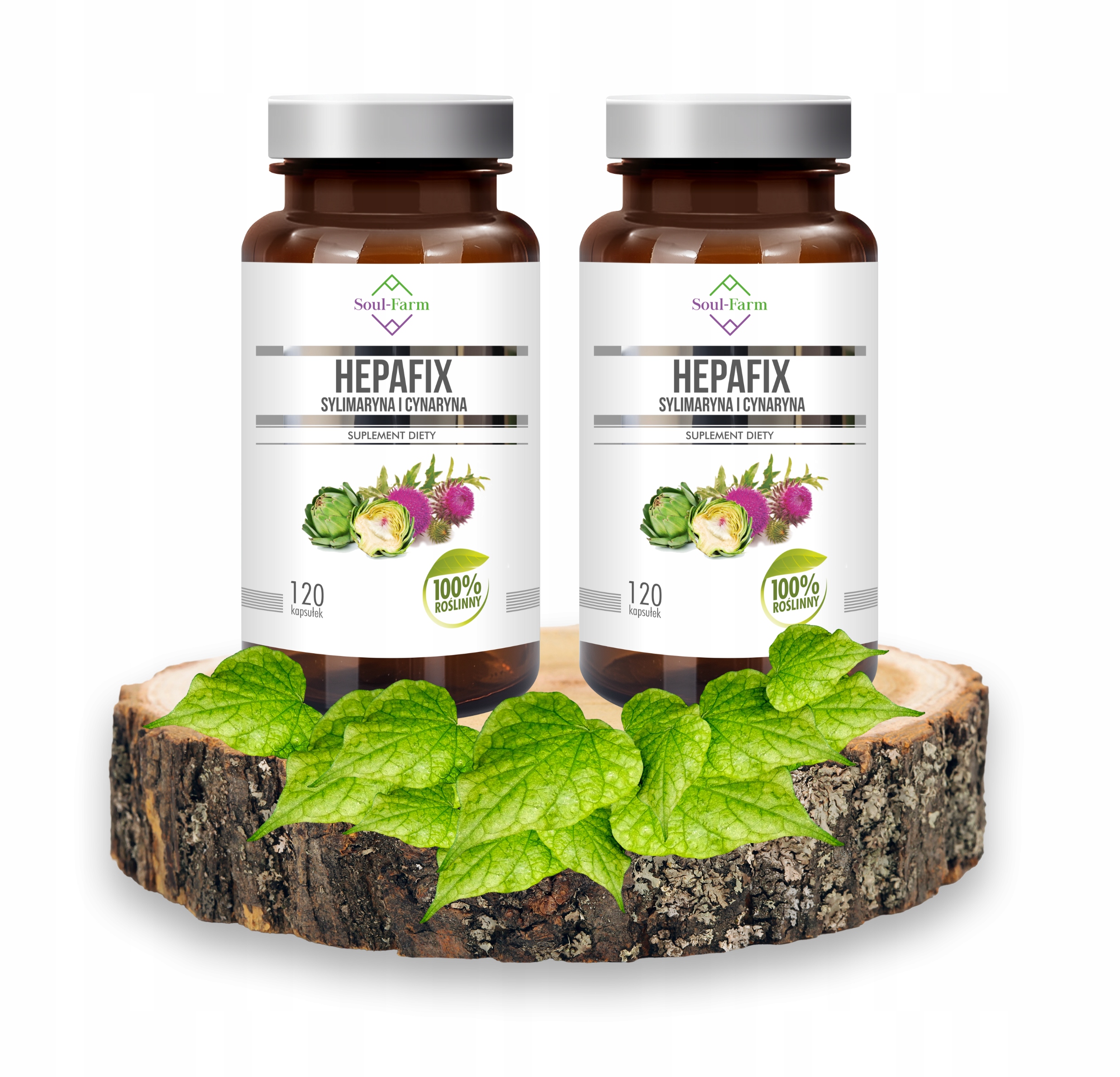 2X Hepafix Ostropest Karczoch sylimaryna 2x120 kap (5902706732030 ...