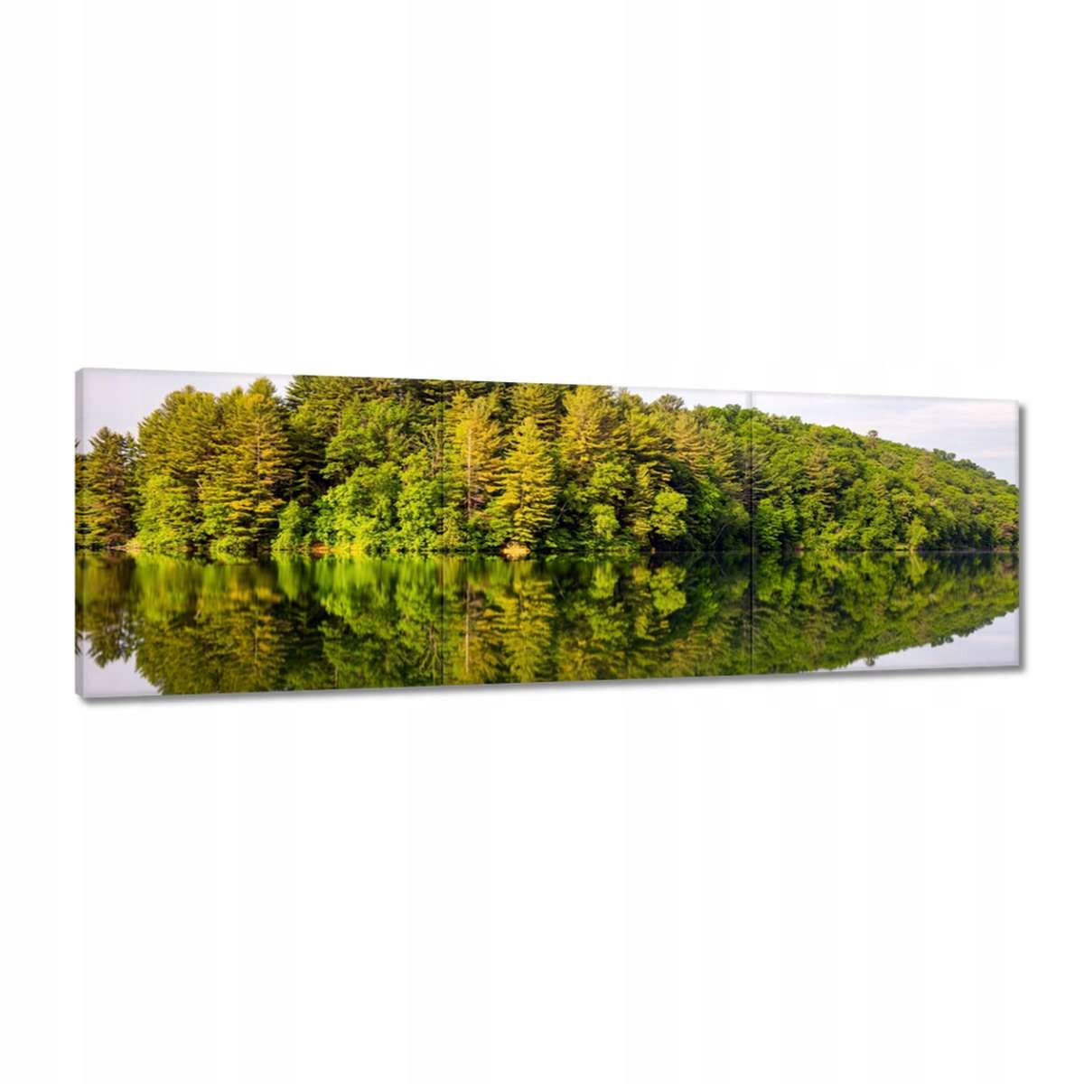 Obrazy 150x50 Las Jezioro Chmury • Cena, Opinie • Obrazy 13090699680 ...