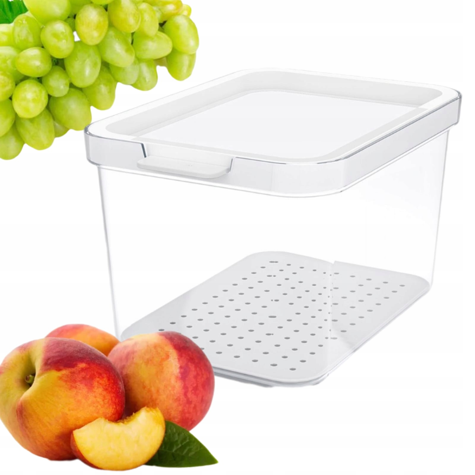 Organizer pojemnik do lodówki na sery wędliny warzywa 2,15 L CAUMA Rotho (7610859254894) • Cena ...