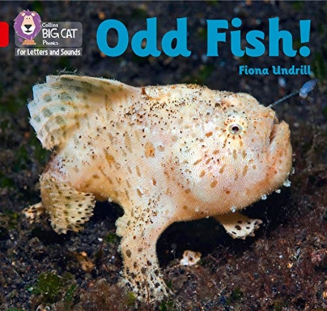 Odd Fish!: Band 02bRed B FIONA UNDRILL (15142138613) | Książka Allegro