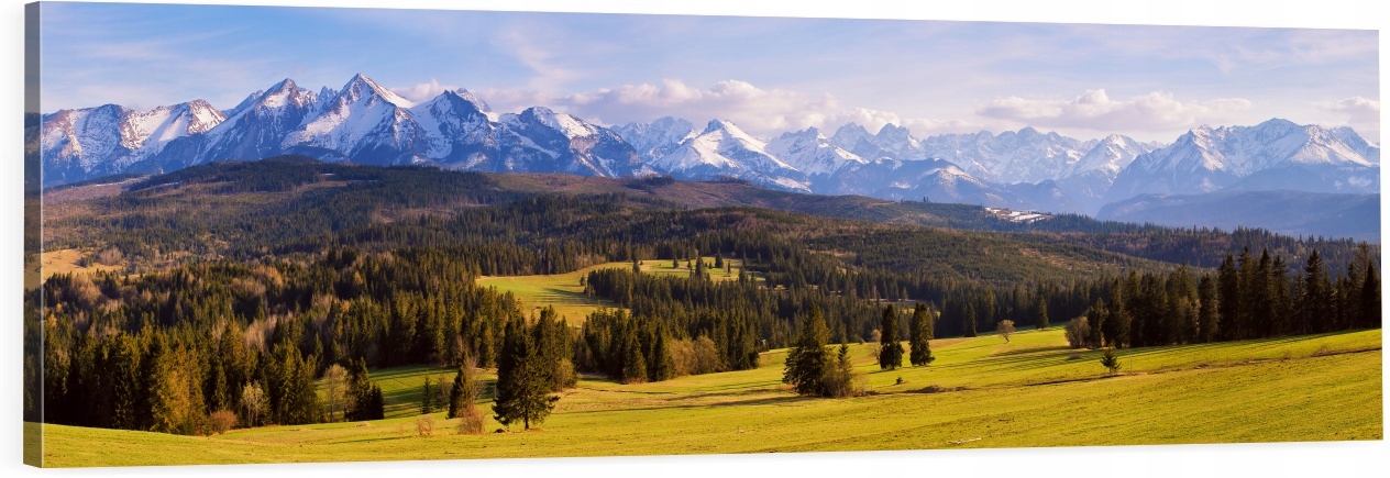 OBRAZ PANORAMICZNY do salonu TATRY GÓRY LAS KRAJOBRAZ GÓRSKI 120x40 ...