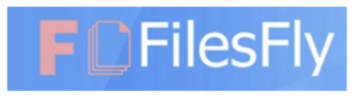FILESFLY - KONTO FILESFLY CC - FILESFLY.CC PREMIUM • Opinie - Allegro
