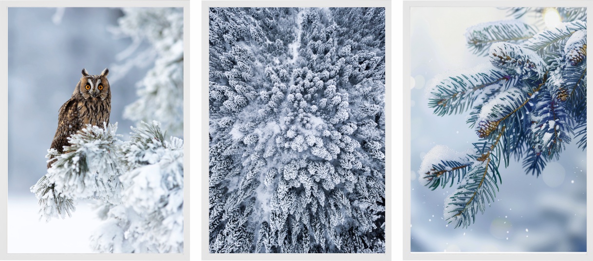 PLAKAT NA SCIANE POSTER ZESTAW A4 ZIMOWY KRAJOBRAZ ZIMA SOWA NATURA ...