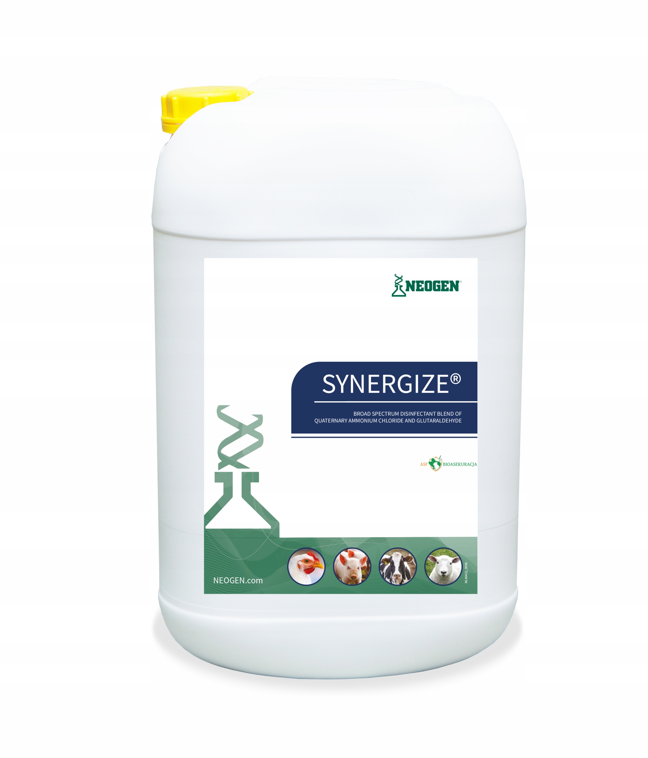 Synergize 5l - SKUTECZNY płyn do dezynfekcji - PRYSZCZYCA, ASF, HPAI ...
