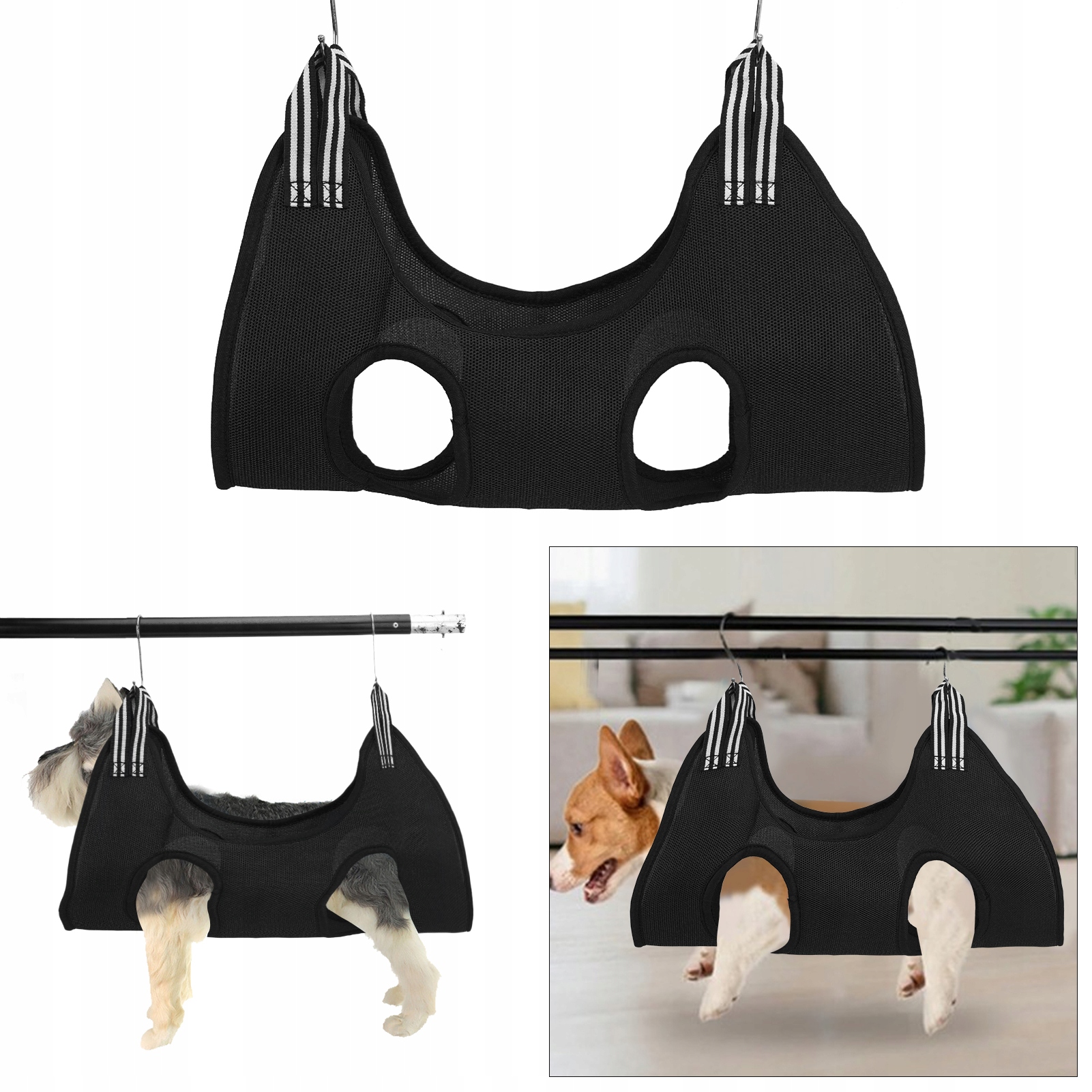 Hamak dla Psa - Niska cena na Allegro.pl