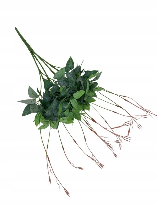 Ruskus bukiet 57 cm zielony z różowymi końcówkami (9KL8910) • Cena ...