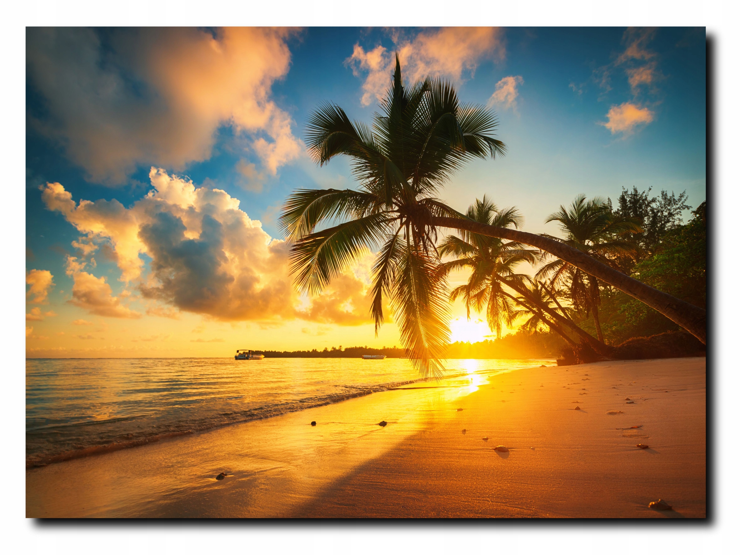 Obraz morze plaża palmy krajobraz do salonu 60x90 (OBRAZY NA ŚCIANĘ ...