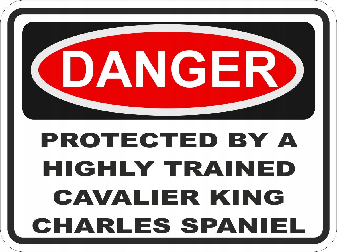 Cavalier King Charles španěl - Samolepka s upozorněním -, • Ceny, Recenze - Allegro