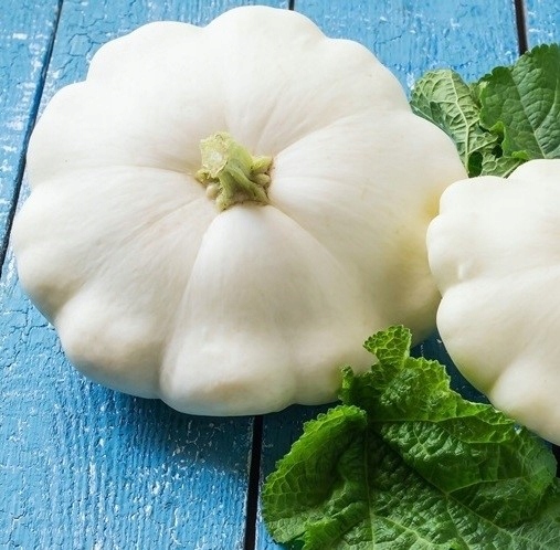 Patison Biały, można faszerować, konserwować, piec - nasiona ...