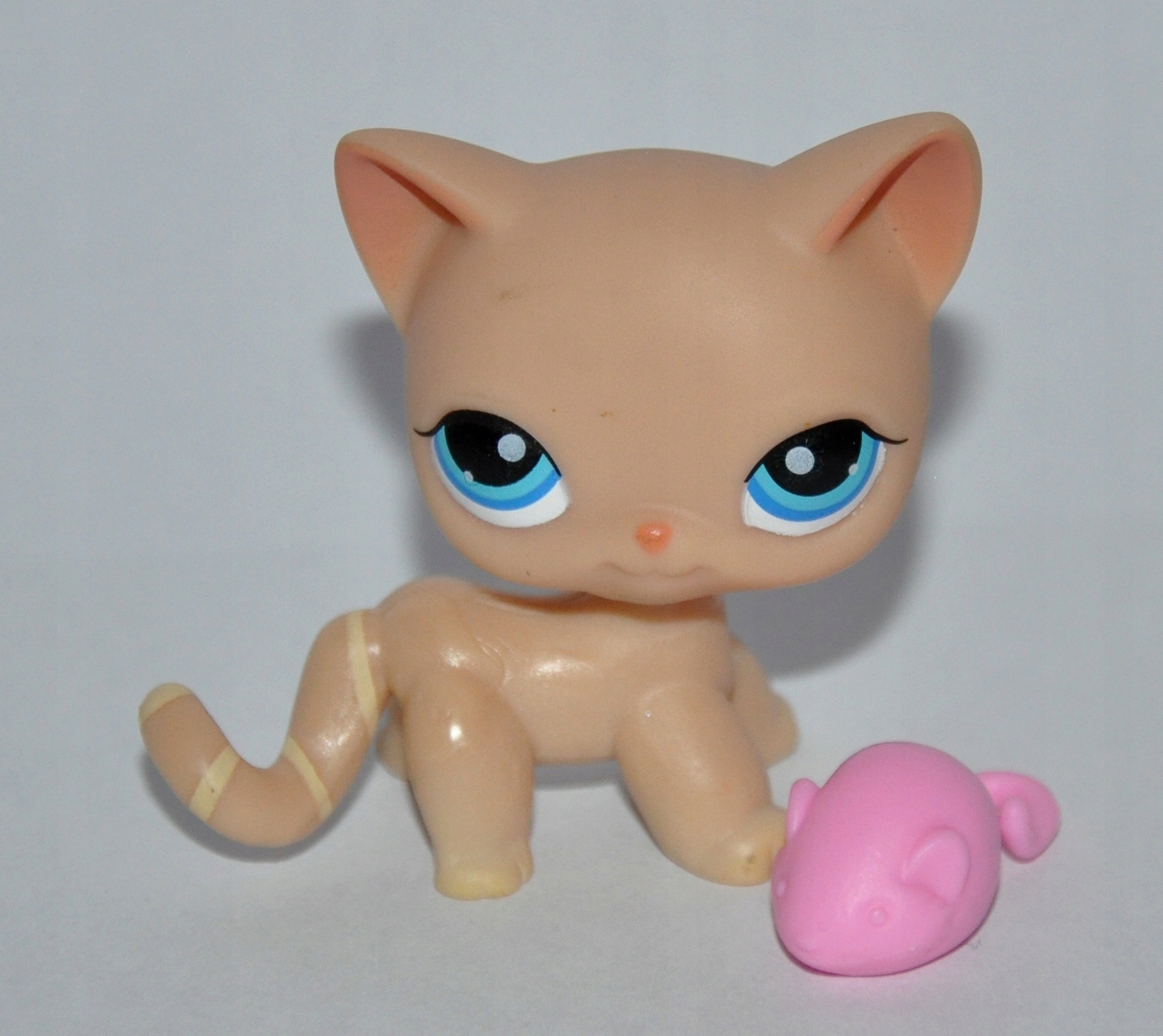 Littlest Pet Shop Shorthair - Niska cena na Allegro.pl