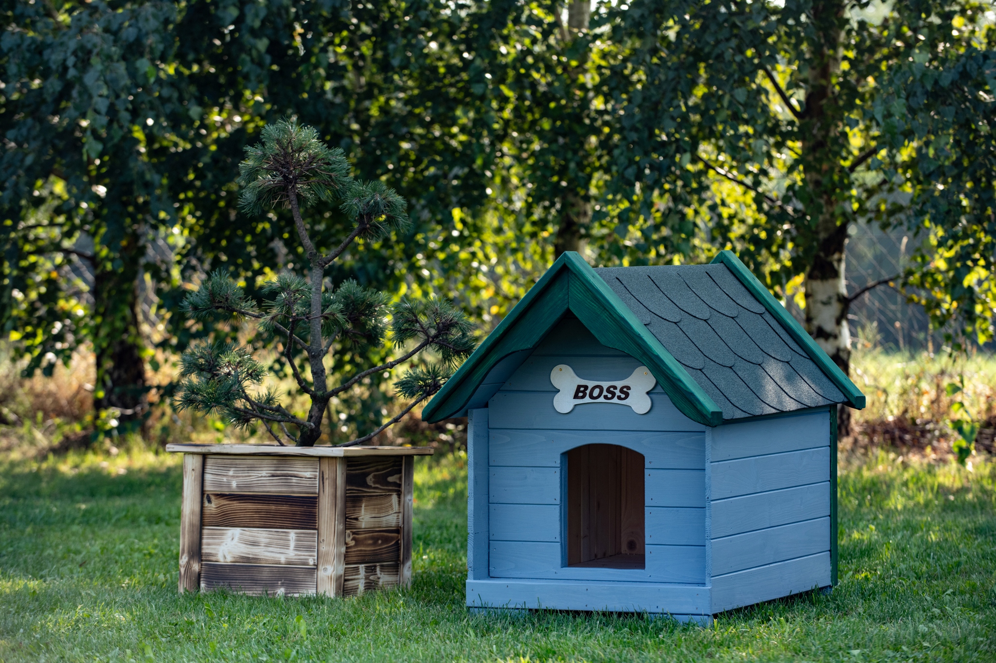 Buda dla psa Średnia L - porównaj ceny - Allegro.pl