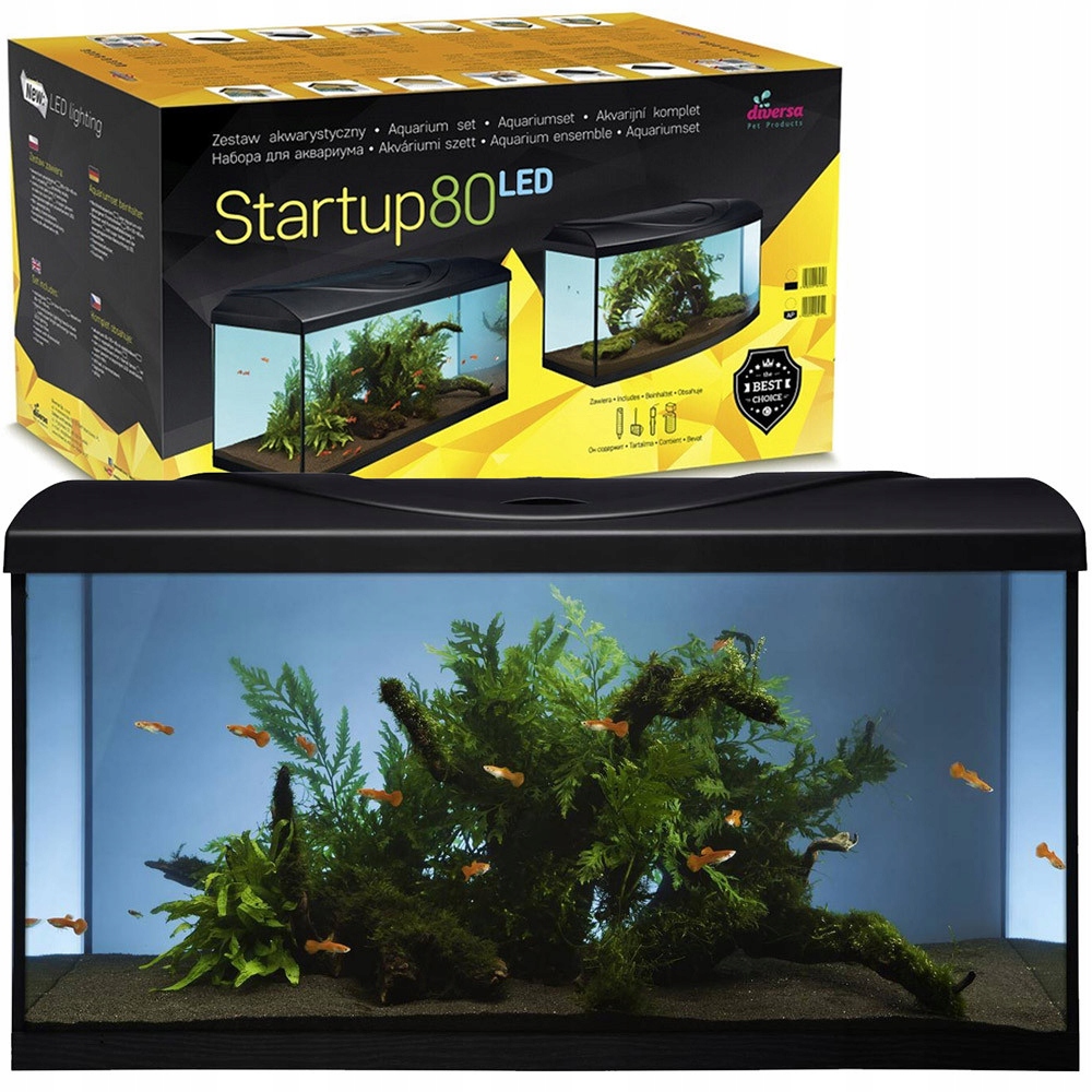Akwarium Diversa StartUp 80 80x35x40 cm (5908222184698) • Cena, Opinie ...