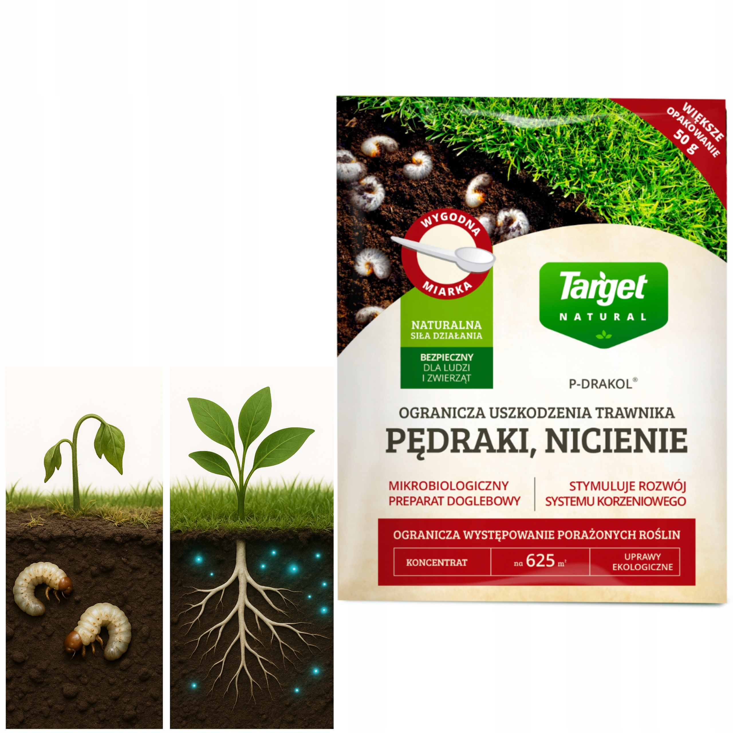 P-DRAKOL TARGET NICIENIE PĘDRAKI 50G REGENERACJA TRAWNIKA ...