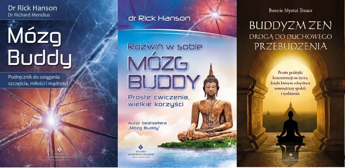Mózg Buddy + Rozwiń Hanson + Buddyzm zen (13054881979) | Książka Allegro