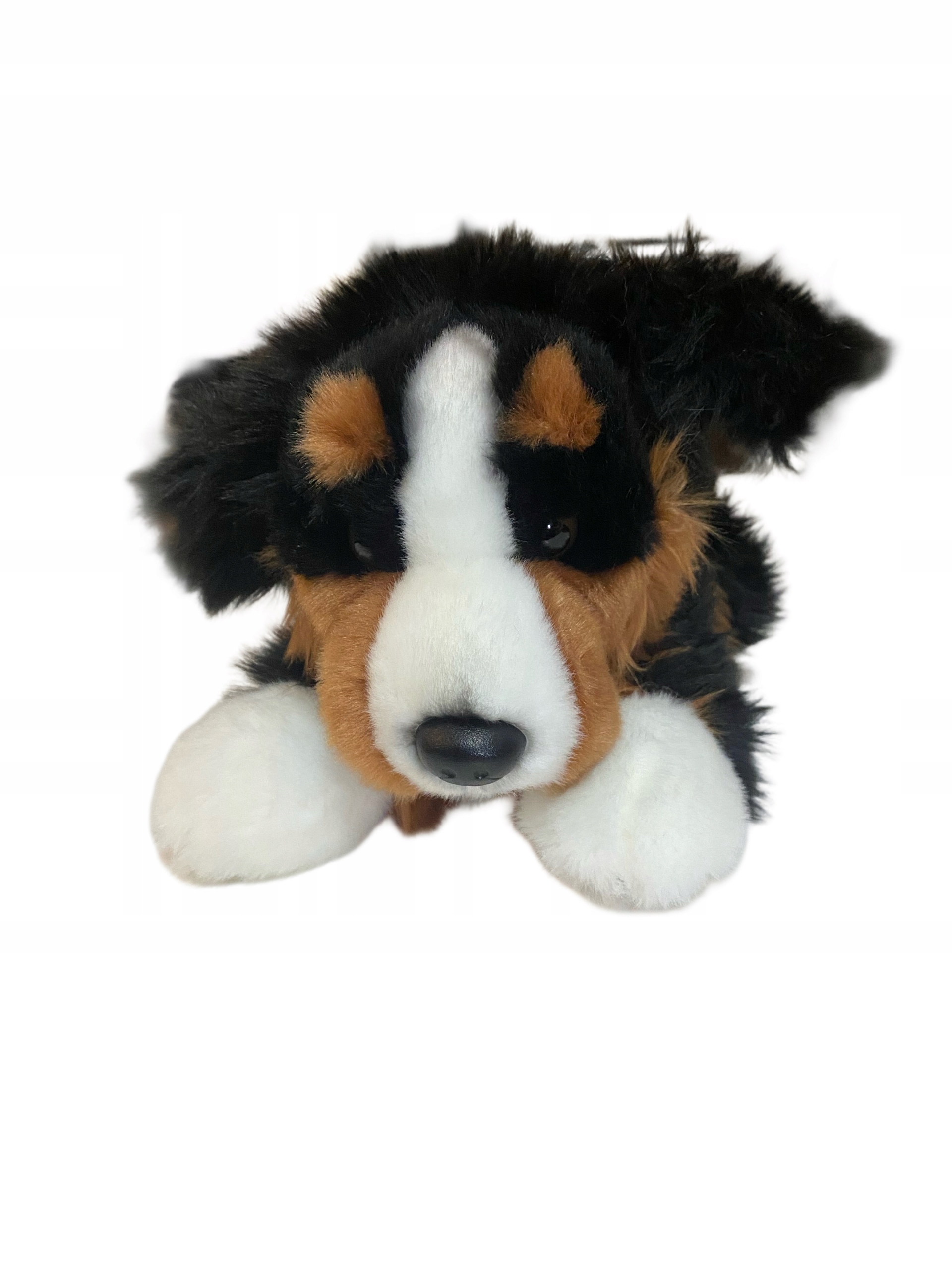 Pies Berneński 30 cm pluszaki DUBI (4548678111001) • Cena, Opinie ...