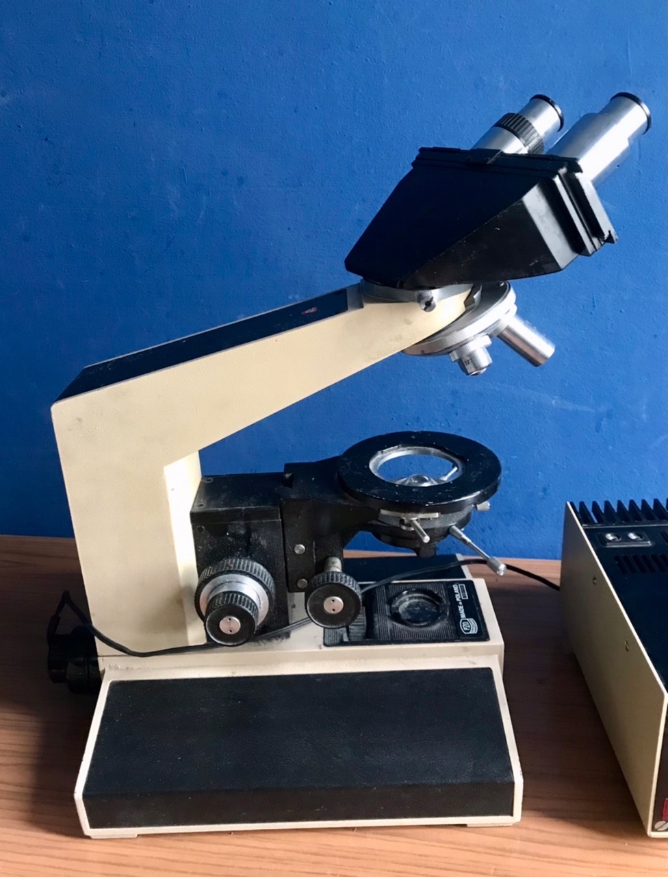 Pzo Biolar - Niska cena na Allegro.pl