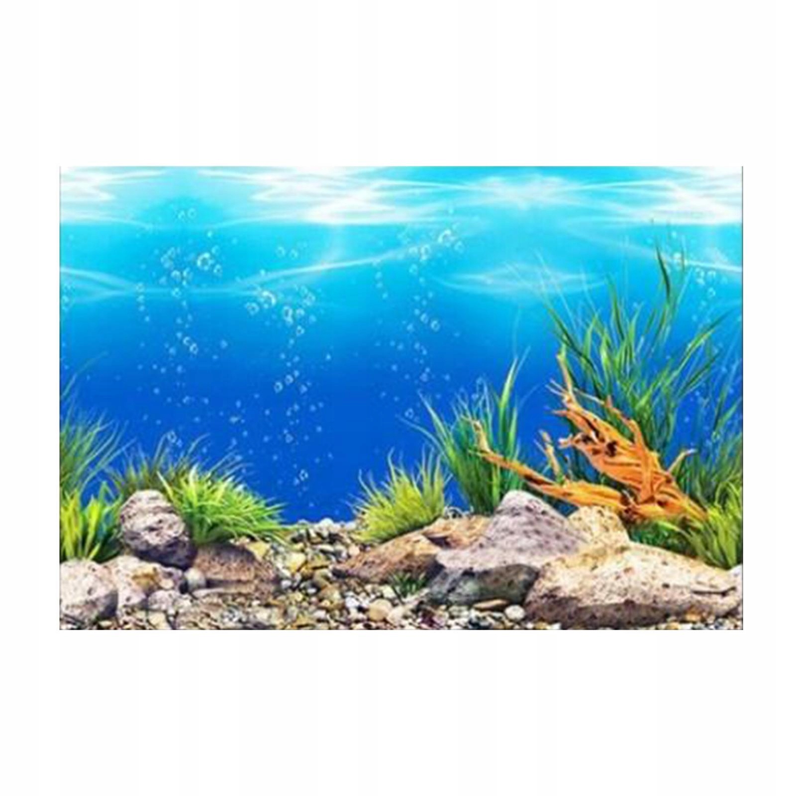 Tło akwarium Naklejka do akwarium Tapeta 12618106849 - Allegro.pl Tło akwarium Naklejka do akwarium Tapeta 12618106849 - Allegro.pl