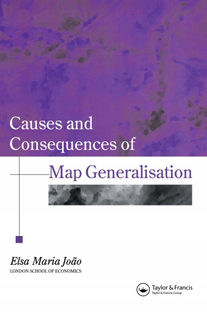 Causes And Consequences Of Map Generalization (9996198673) | Ebook Allegro