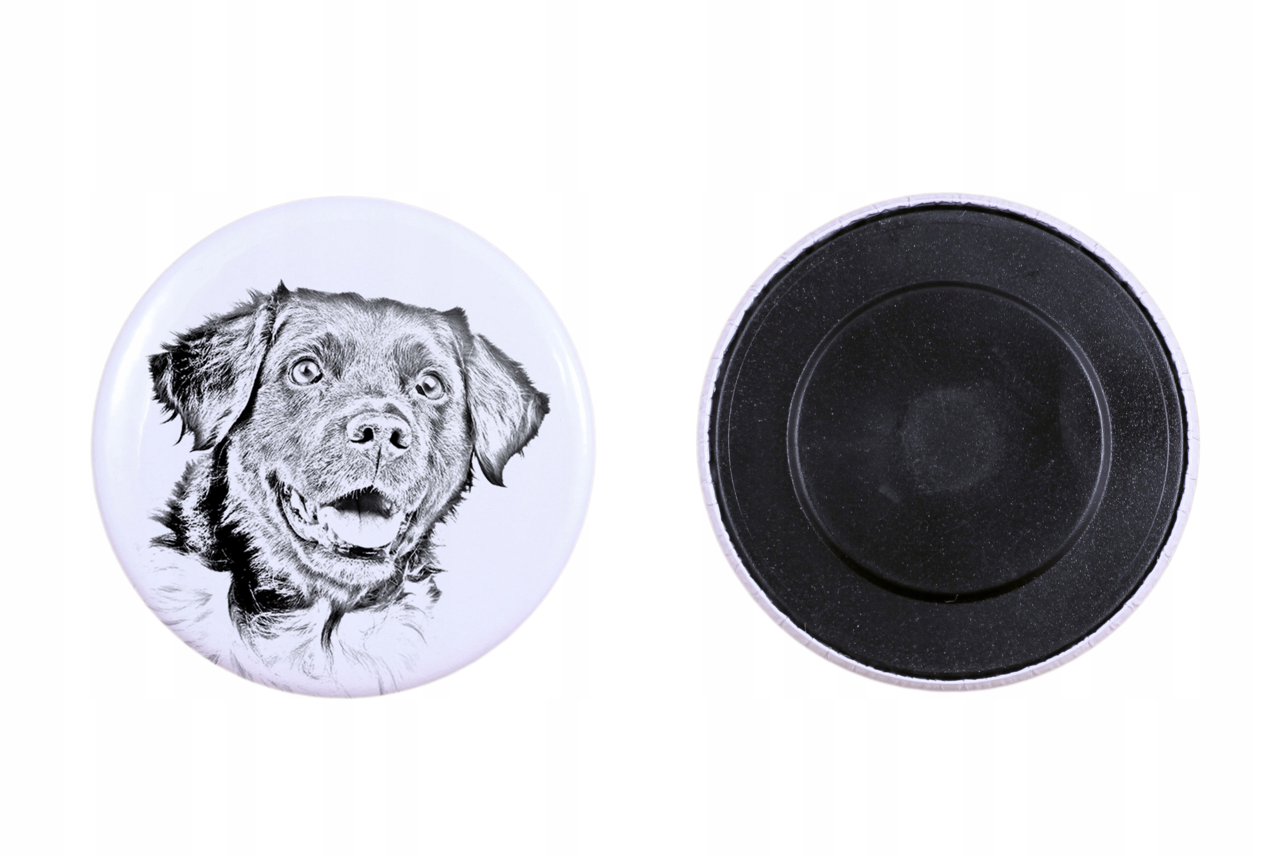 Fríz vizsla, Stabyhoun - hűtőmágnes kutyás kedvenccel, rendkívül könnyű ...