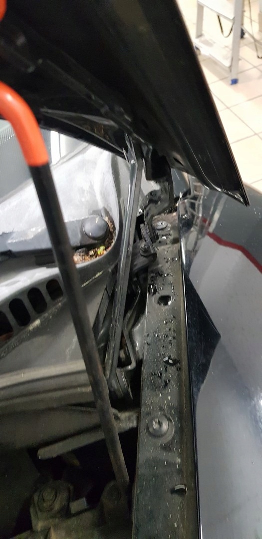 VW NEW BEETLE NEW BITEL ZAWIAS MASKI KOLOR L041 1998-2010 za 50.00PLN z ...