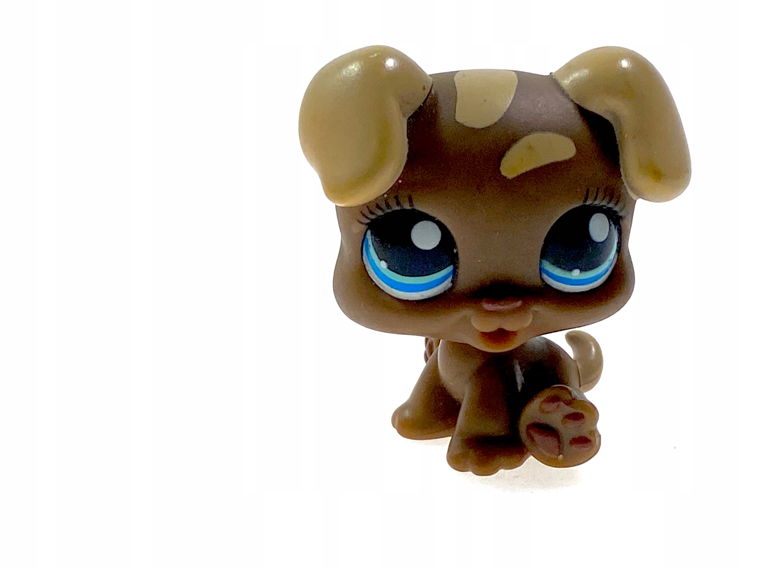HASBRO LITTLEST PET SHOP PIESEK LABRADOR #1701 FIGURKA LIMITOWANA ...