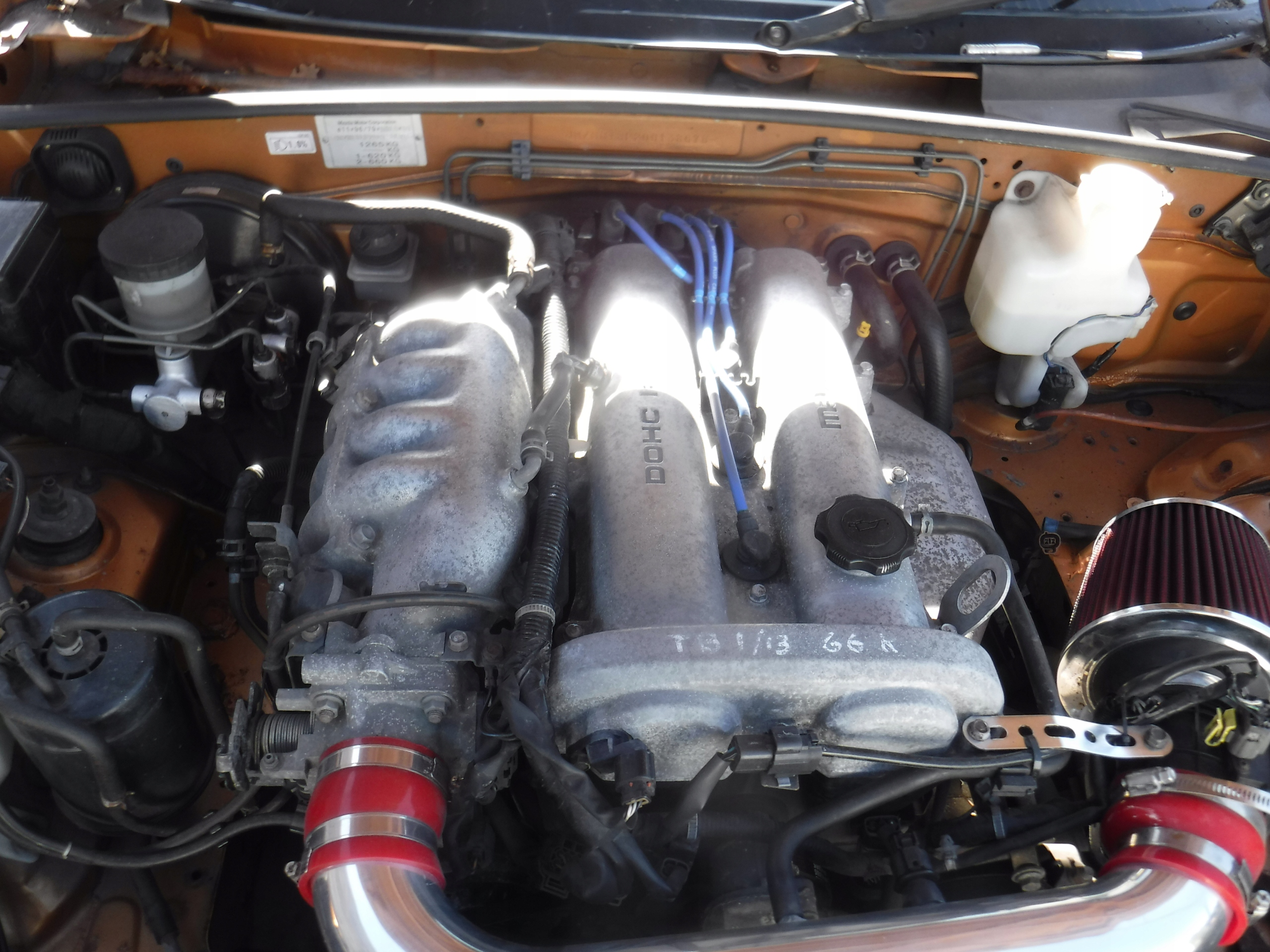 Zxmc.zx. - Niska cena na Allegro