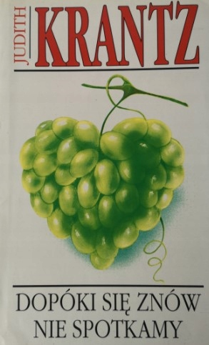 Dopóki się znów nie spotkamy Judith Krantz - porównaj ceny - Allegro.pl