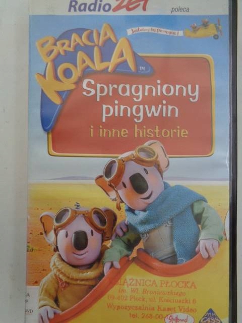 Bracia Koala. Spragniony Pingwin i inne historie kaseta wideo - porównaj ceny - Allegro.pl