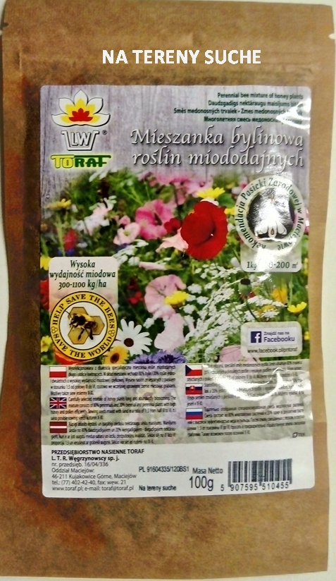 Semena Květin Trvalky - Nízká cena na Allegro