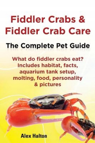 Fiddler Crabs & Fiddler Crab Care. Complete Pet Guide. What do fiddler ...