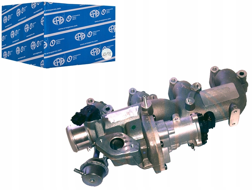 ZAWOR EGR ZAWÓR EGR ERA 555317 ERA ERA 555317 za 2357,21 zł z Raba ...