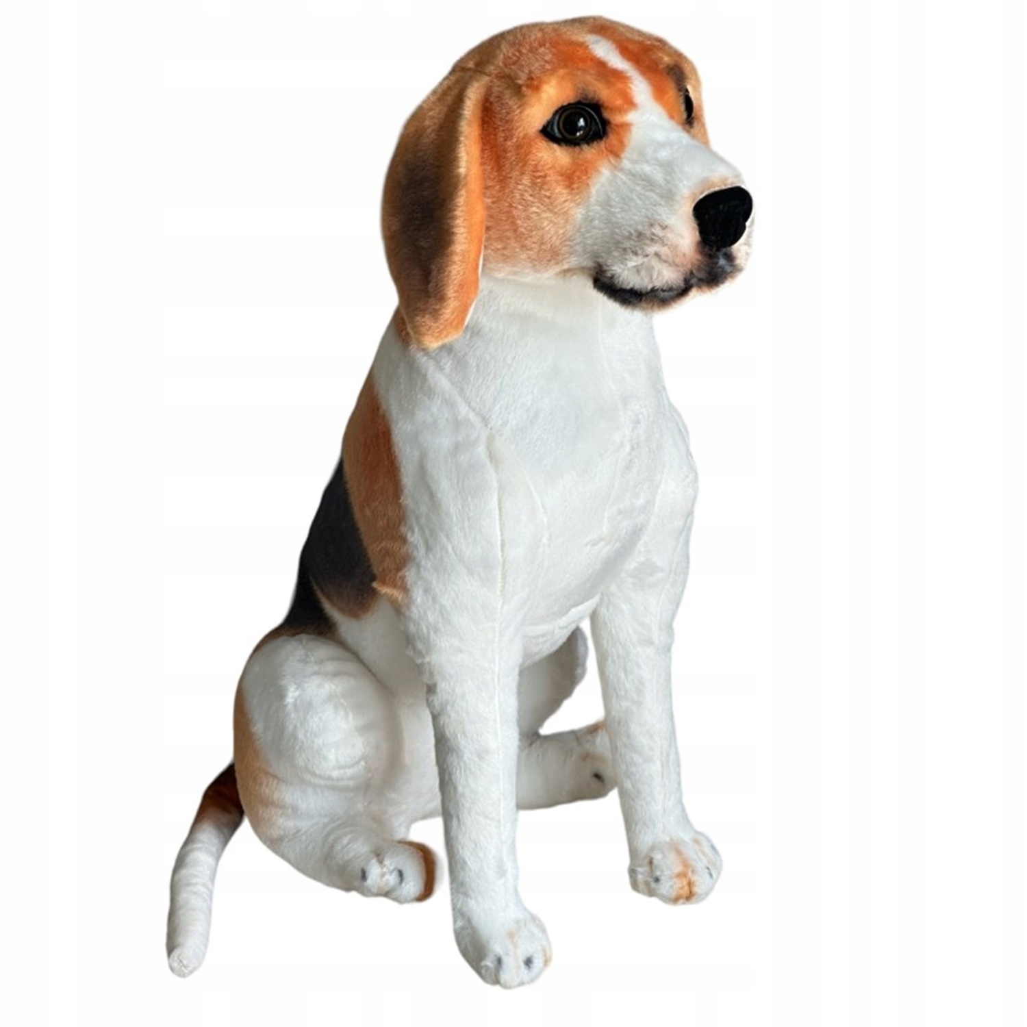 Maskotka Pluszowy Pies BEAGLE piesek Pluszak Duży 16691308866 - Allegro.pl