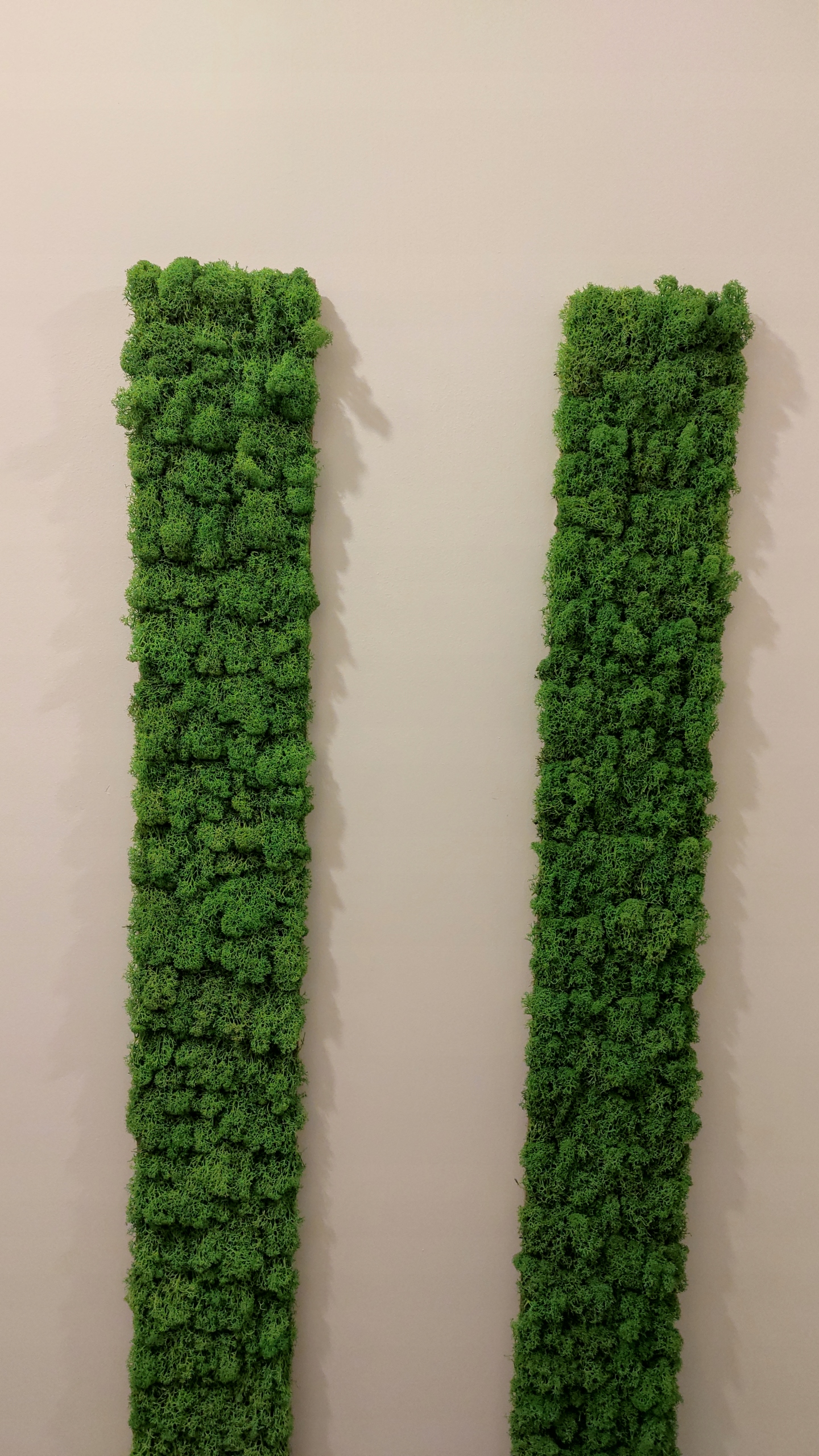 Panel Ścienny - Mech Chrobotek • Cena, Opinie • Mech dekoracyjny ...