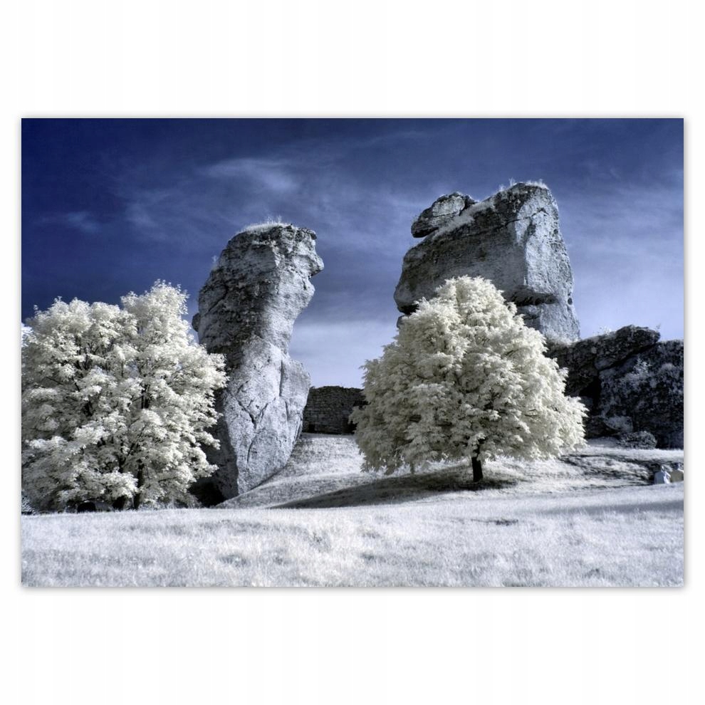 Nálepky A0 VODOROVNÉ Krajina Fotka Infračervené, • Ceny, Recenzie - Allegro