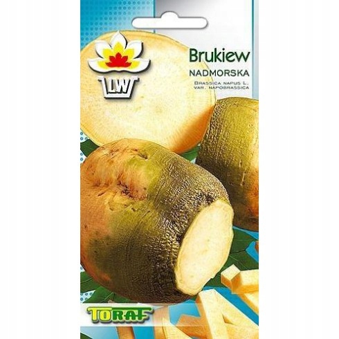 Brukiew Jadalna Warzywo - Niska cena na Allegro